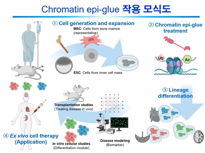 과제 & 연구자 | 삼성미래기술